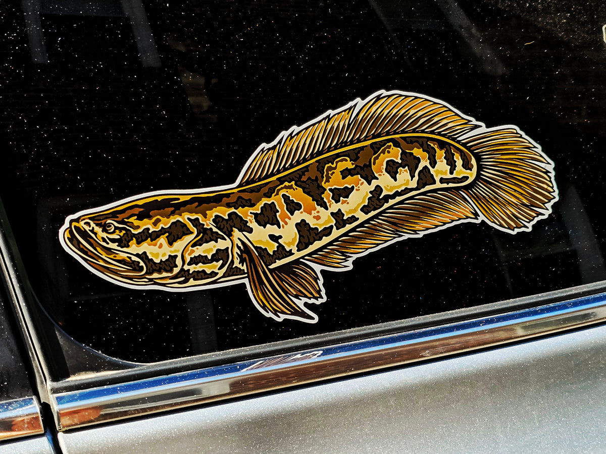 ASC Northern Snakehead Sticker – American Snakehead Customs LLC