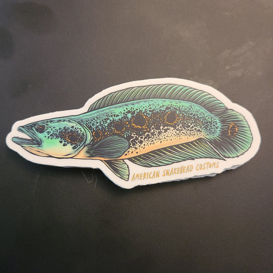 Occelated Snakehead Sticker – American Snakehead Customs LLC
