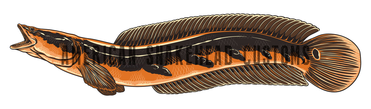 Bullseye snakehead Sticker – American Snakehead Customs LLC