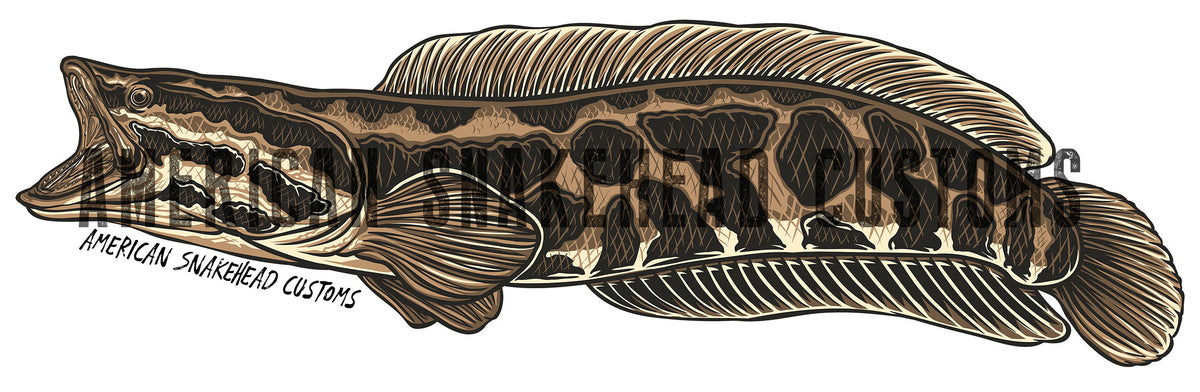 Northern Snakehead Sticker – American Snakehead Customs LLC