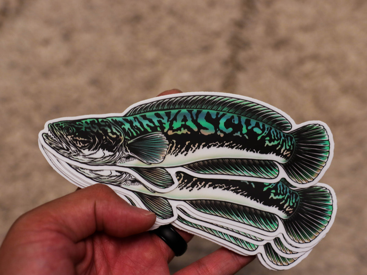 Giant Snakehead Sticker – American Snakehead Customs LLC
