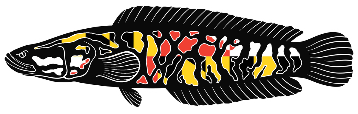 Maryland Snakehead Sticker – American Snakehead Customs LLC